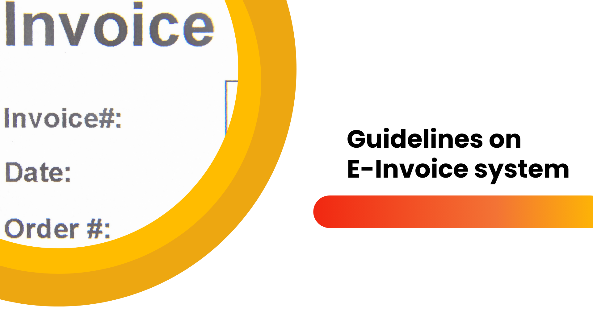 Guidelines on e-Invoice system - CA Corporate Account PLT